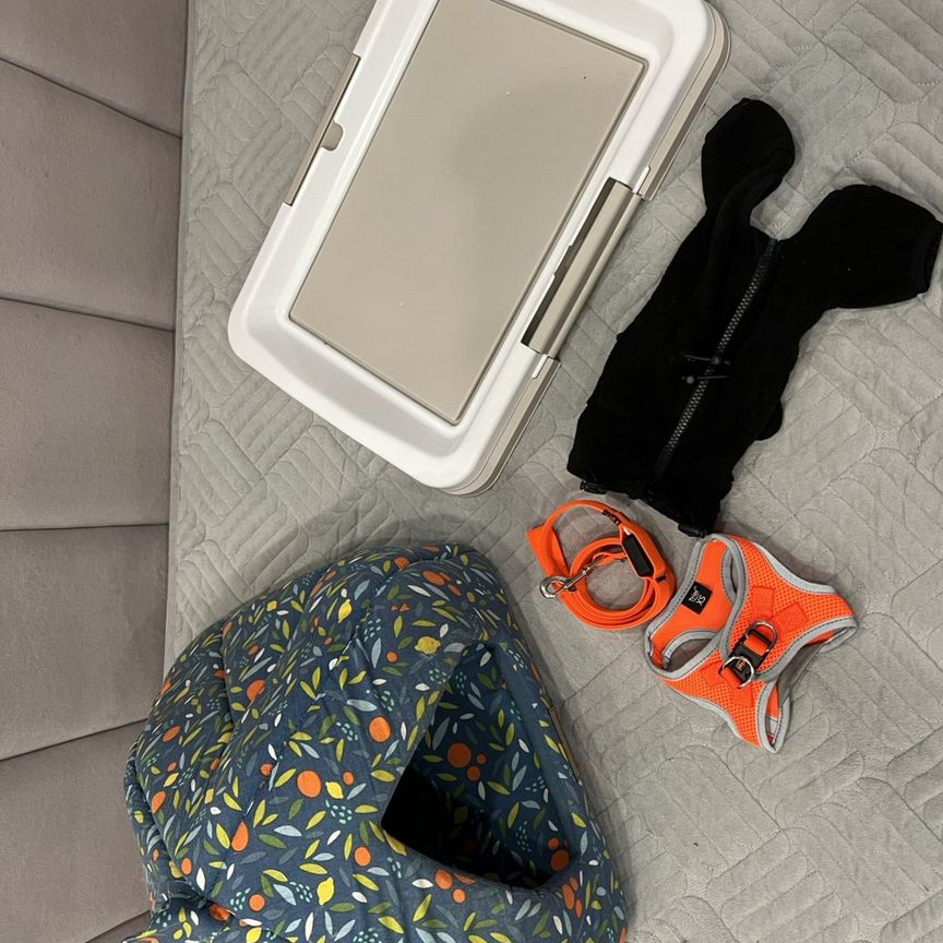 Товары для собак мелких пород