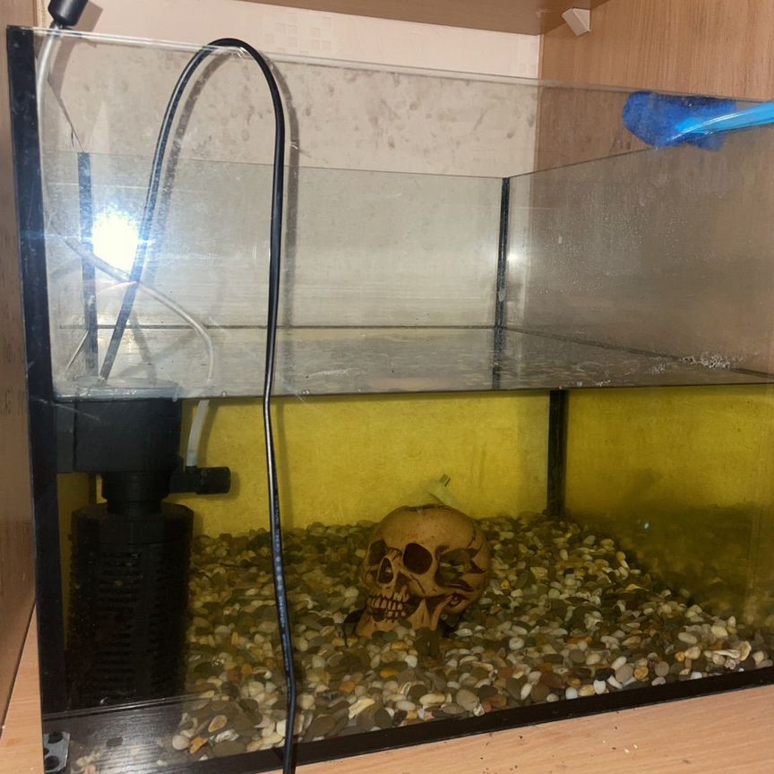 Аквариум 100 литров