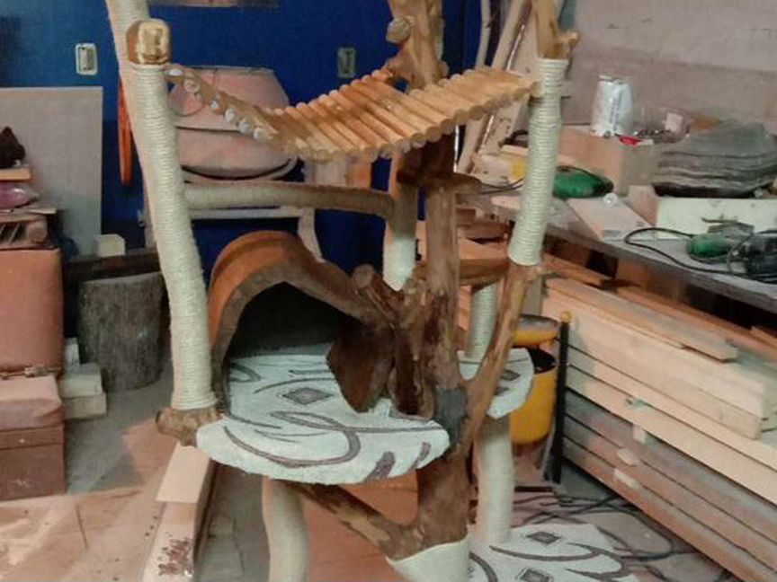 Когтеточка