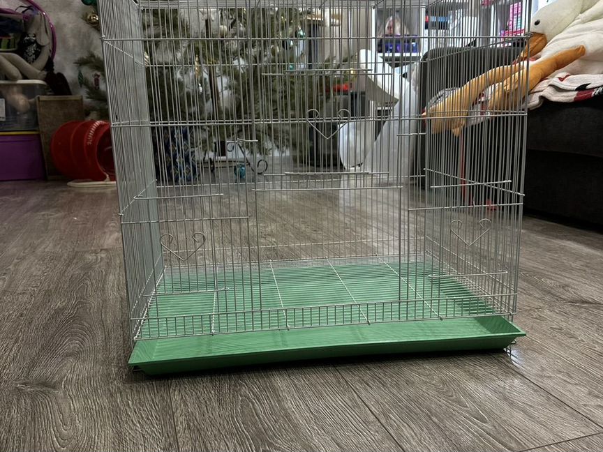 Клетка