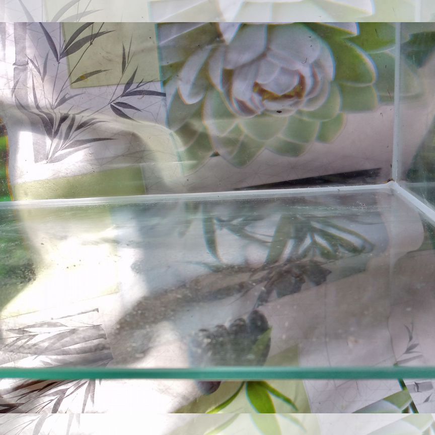 Аквариум 410х250х230