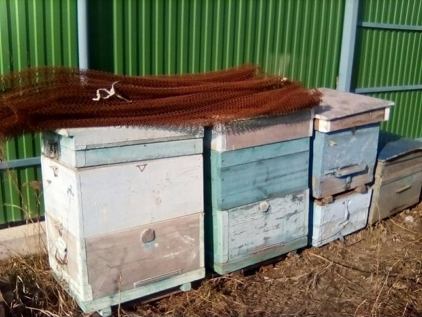 Продам ульи и корпуса для пчел