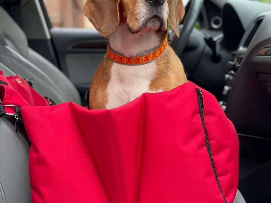 Автокресло для собак