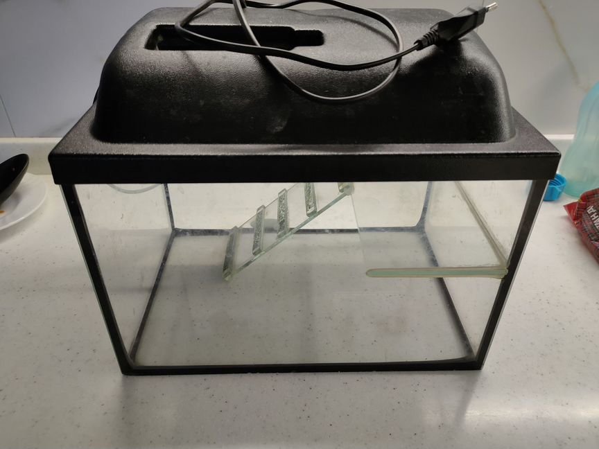 Аквариум(черепашатник) для красноухой черепашки