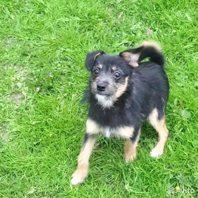 Дети любви. Мальчики