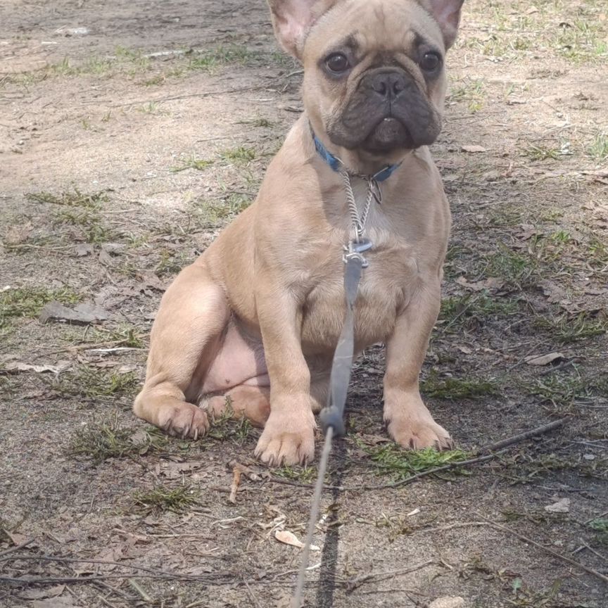 Милая малышка