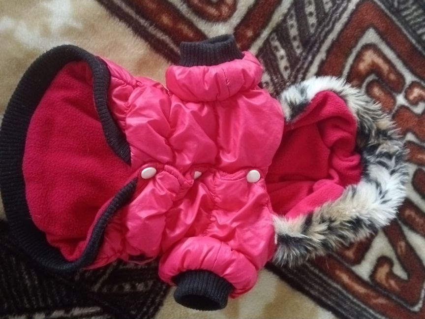 Зимний комбинезон для маленькой собаки
