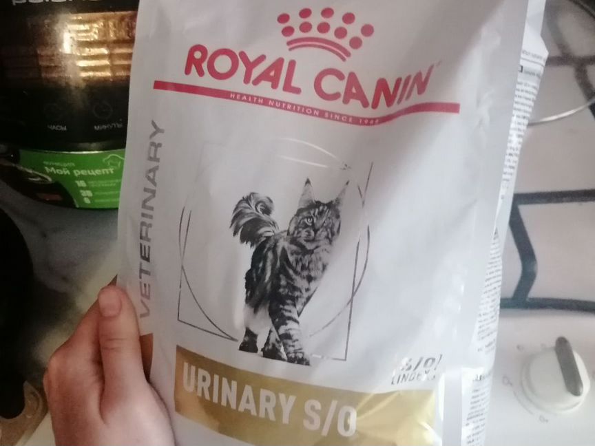 Корм для кошек royal canin urinary