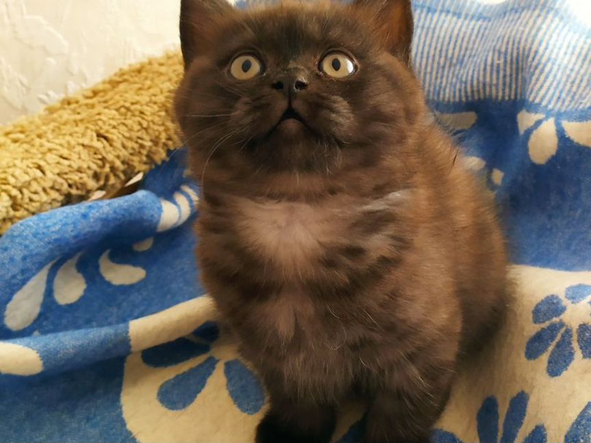 Симпатичная девочка