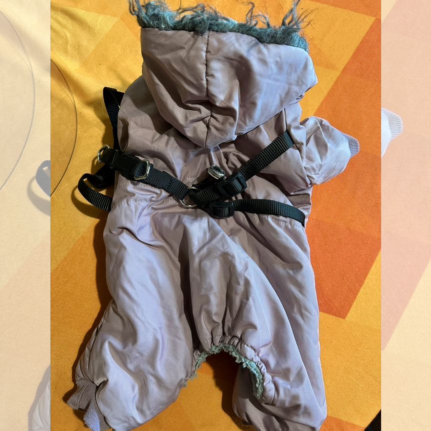 Комбинезон для собаки