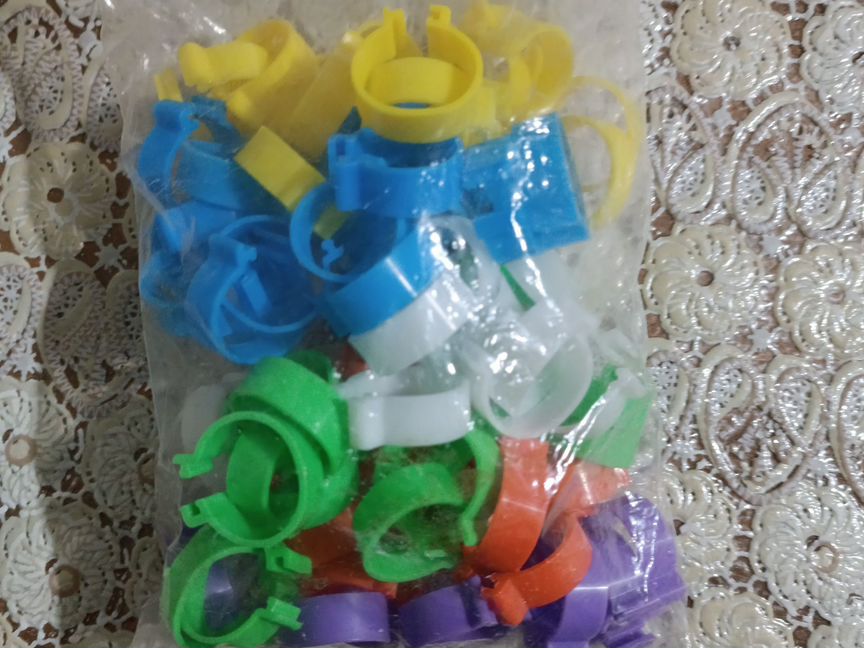 Кольца для лохматых голубей