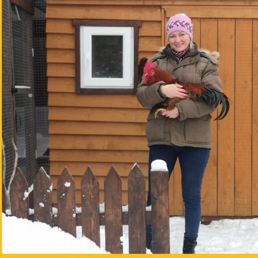 Консультации по птицеводству