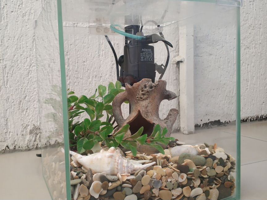 Аквариум панорамный 10л