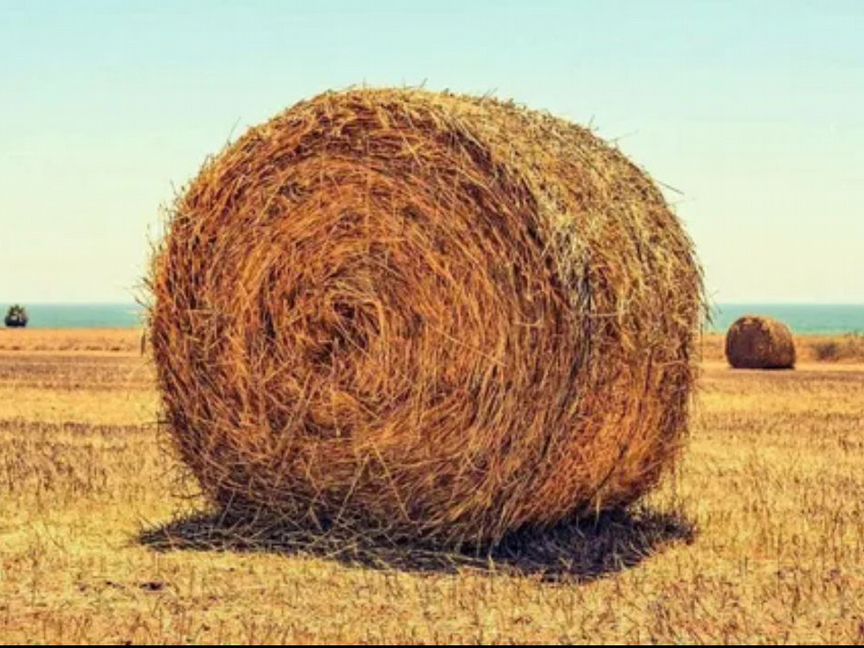 Продам сено в рулонах