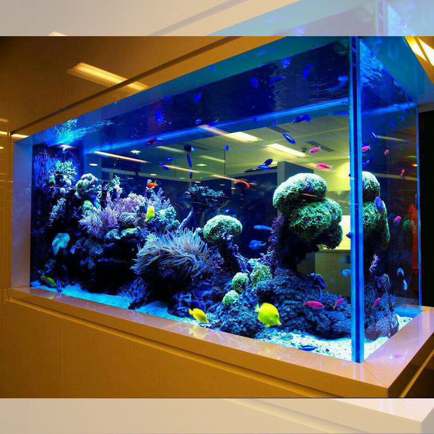 Изготовление и ремонт аквариумов, террариумов любо