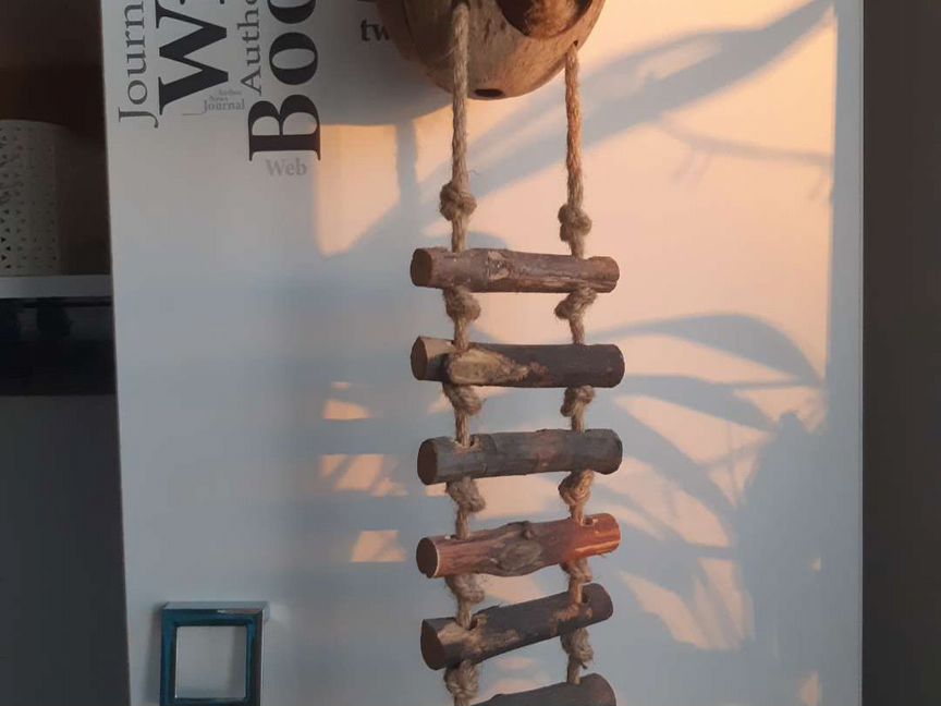 Игрушки для птиц