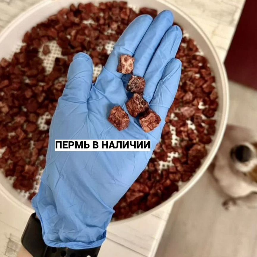 Сухое легкое для собак