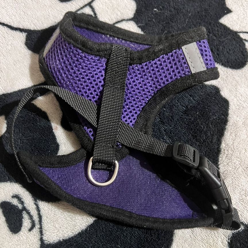 Шлейка с поводком для собак