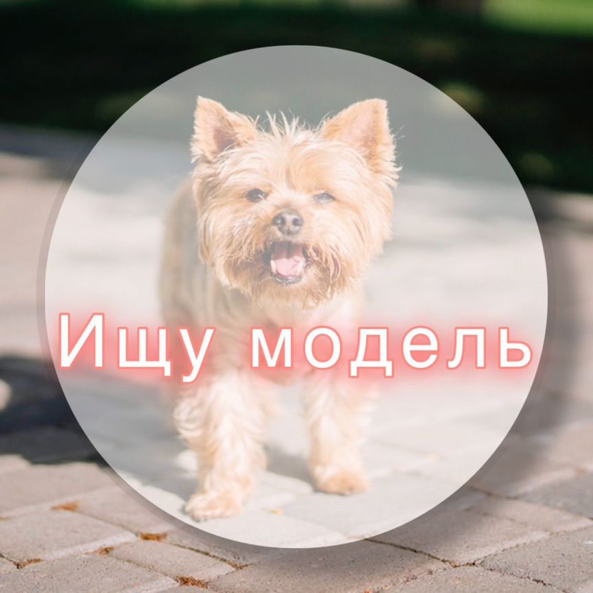 Груминг модель