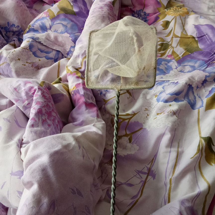 Сачек для рыб