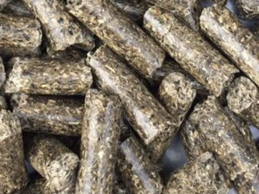 Шрот подсолнечный