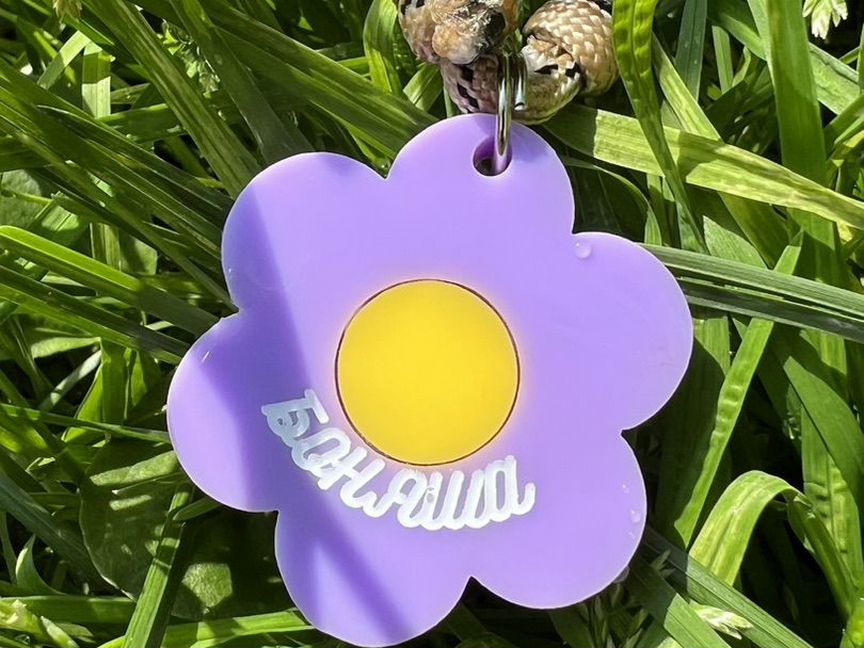 Адресник для собак и кошек