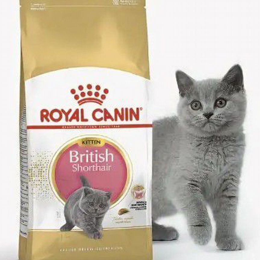Корм для кошек royal canin British puppy