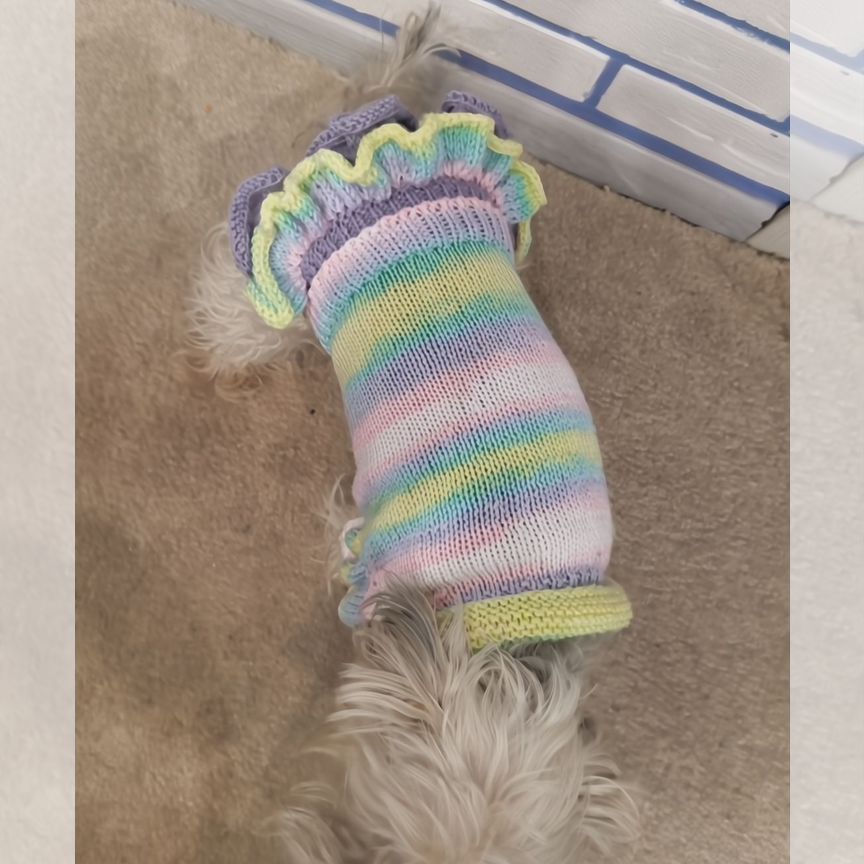 Вещи для маленьких собак