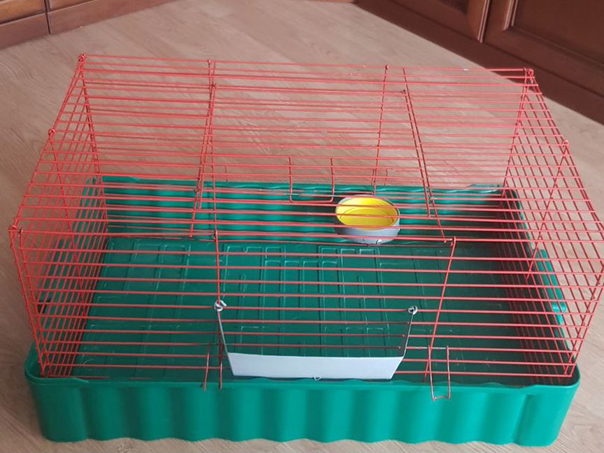 Клетки для грызунов поилки и кормушки