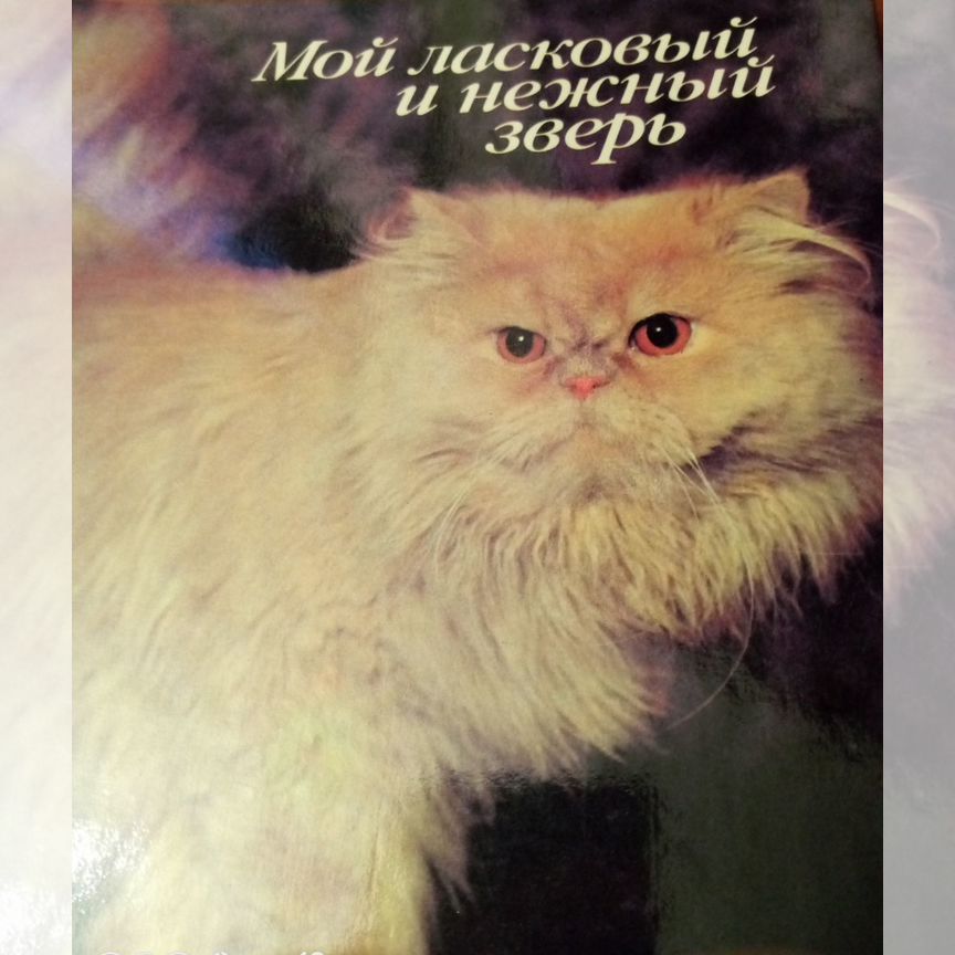 Книга про кошечкек Мой ласковый и нежный зверь 143