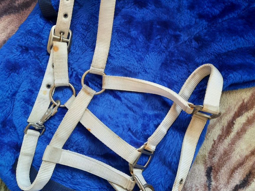 Недоуздок для лошади фул