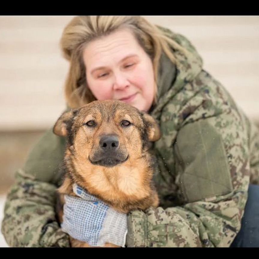 Собака в добрые руки отдам бесплатно