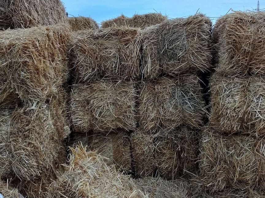 Солома в тюках