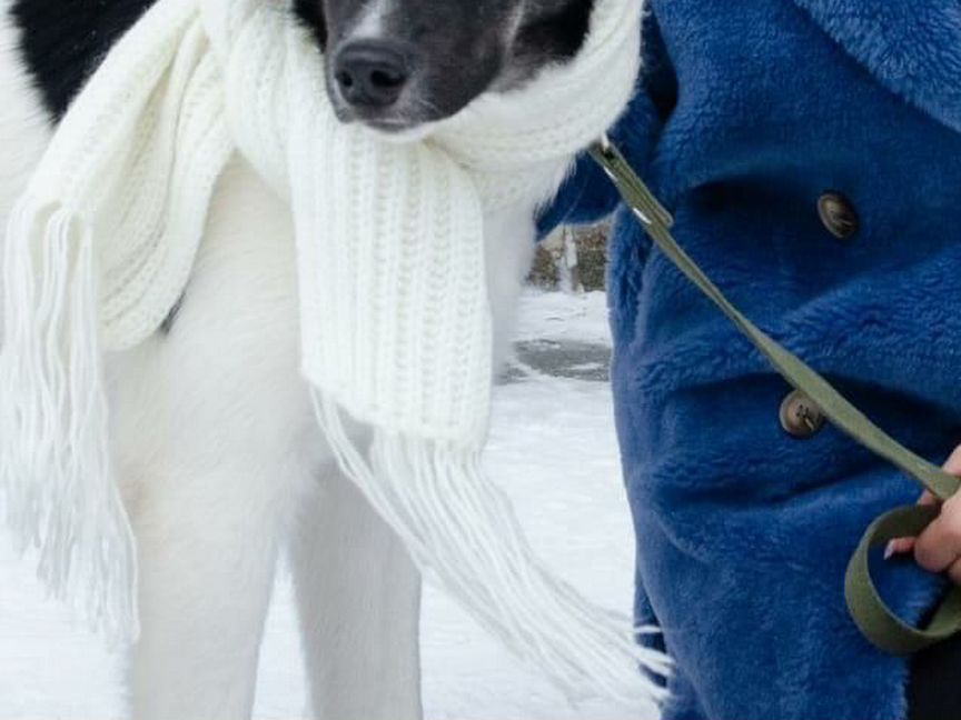 Малыш,9 месяцев