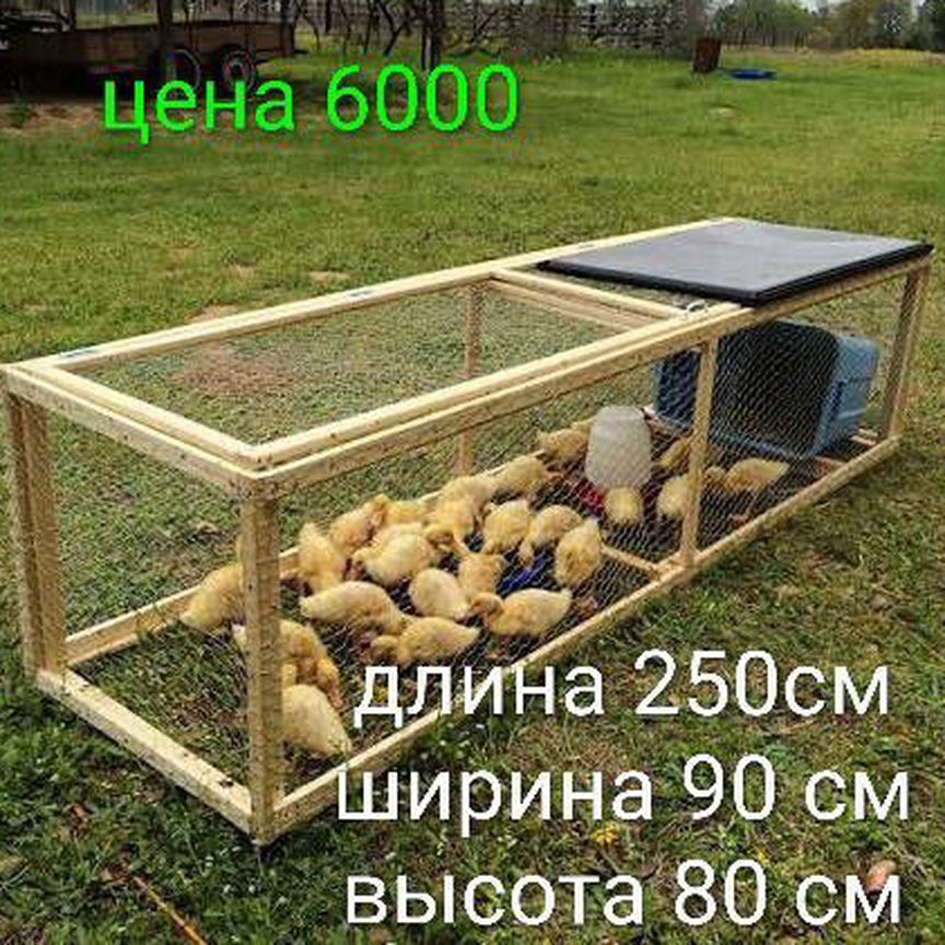 Загон / выгул / Клетка / Брудер/ для кур /цыплят