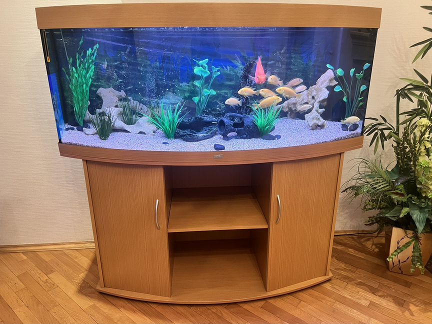 Аквариум с тумбой juwel