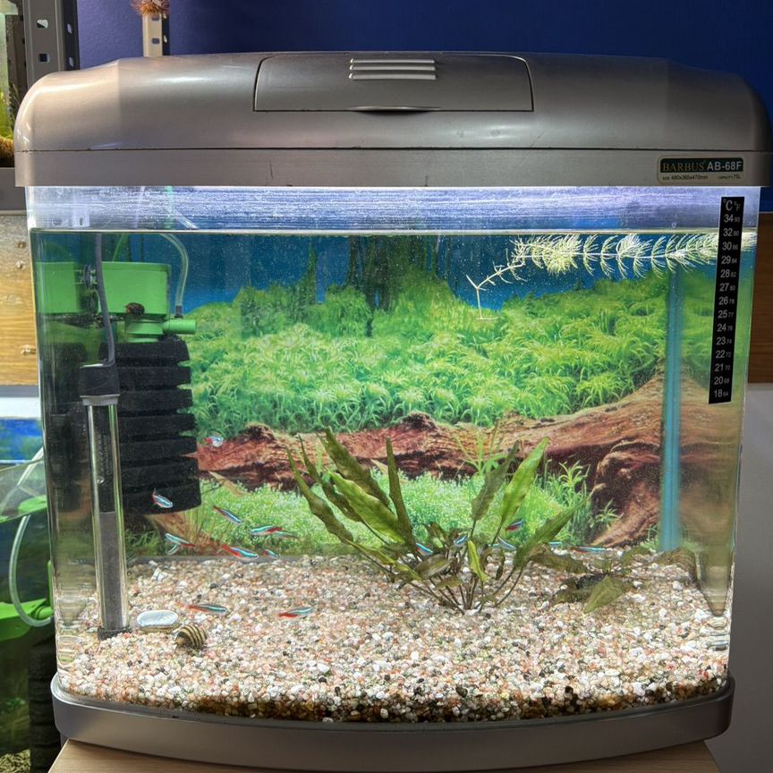 Аквариум в сборе 75л