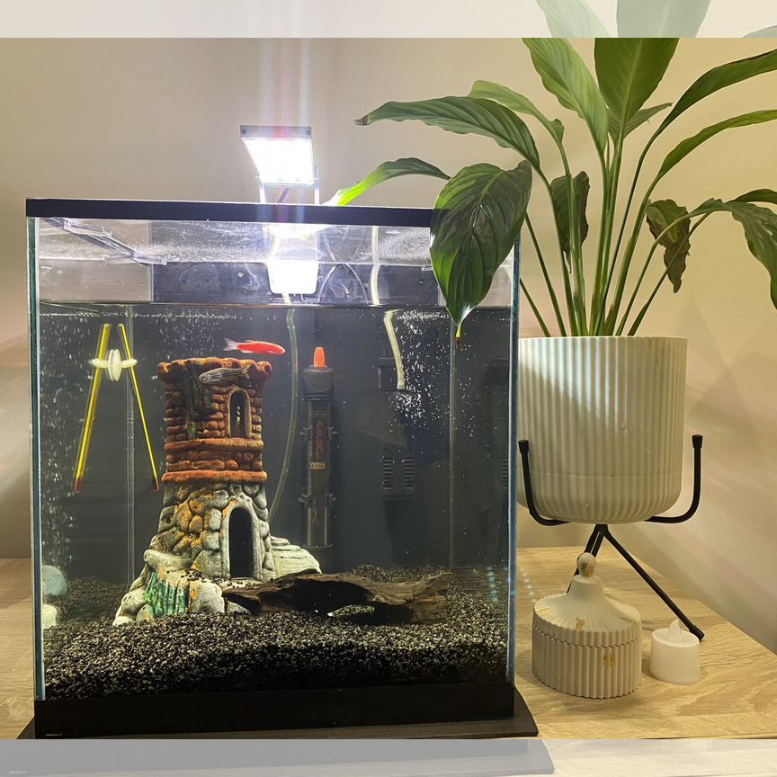 Аквариум с рыбками