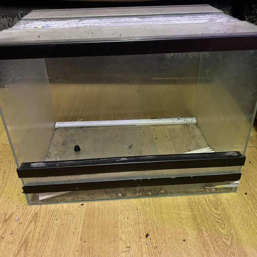 Террариум Отдам