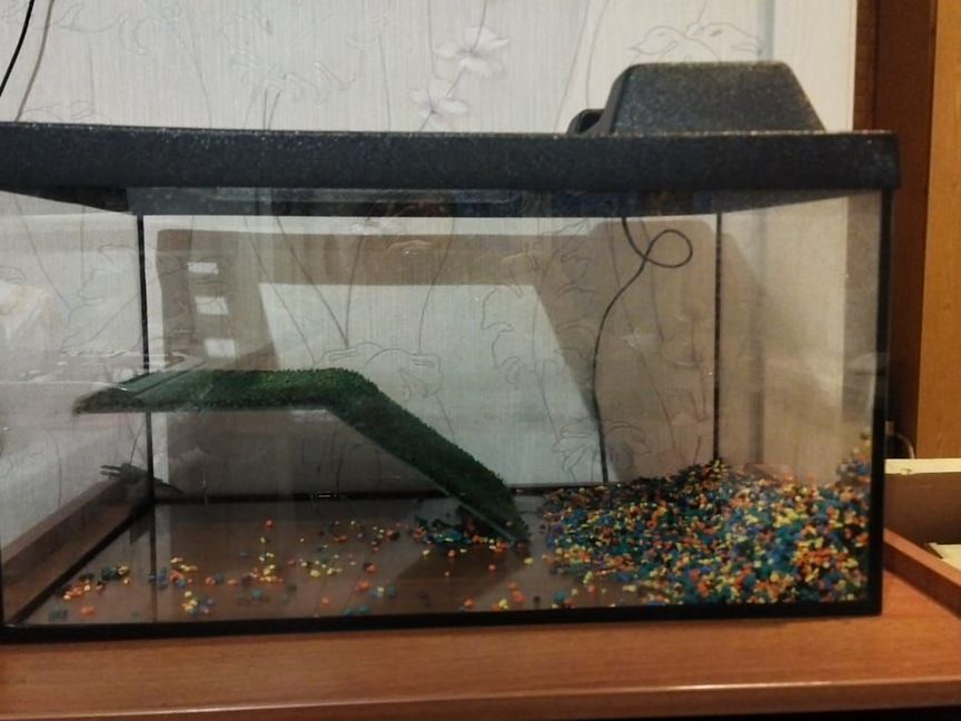 Террариум для красноухой черепахи