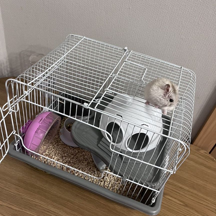 Клетка для хомяка