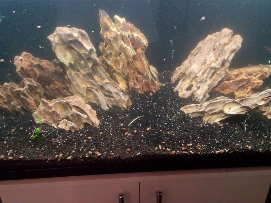 Камень "Дракон" для аквариума