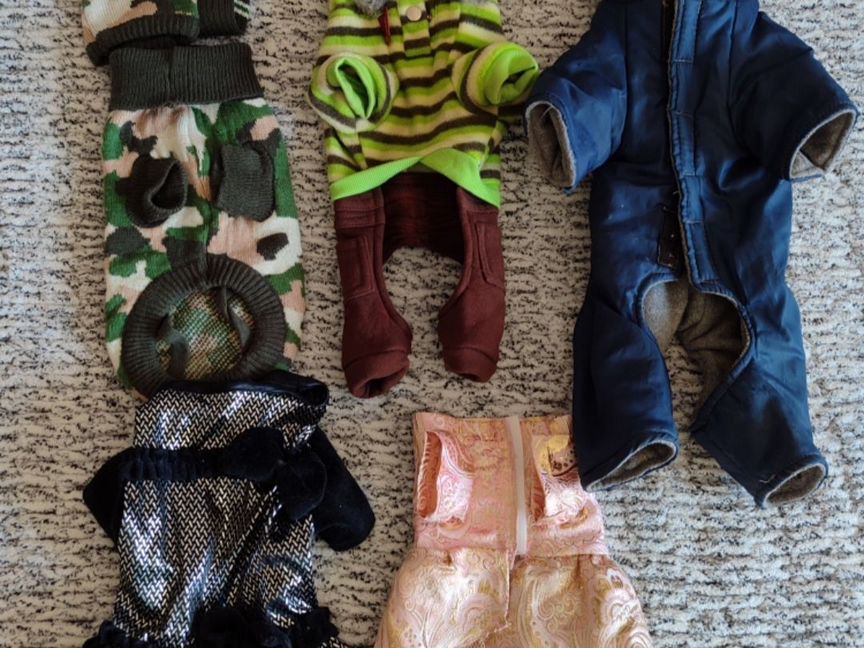 Одежда для маленьких собак пакетом