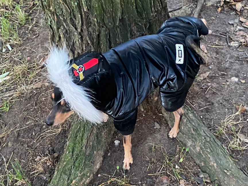 Пальто для собаки