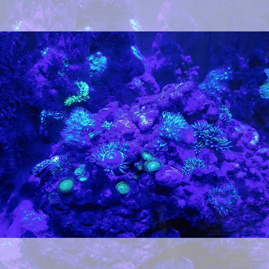 Продам аквариум