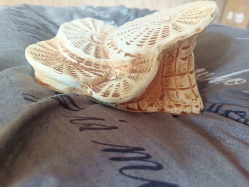 Для черепахи