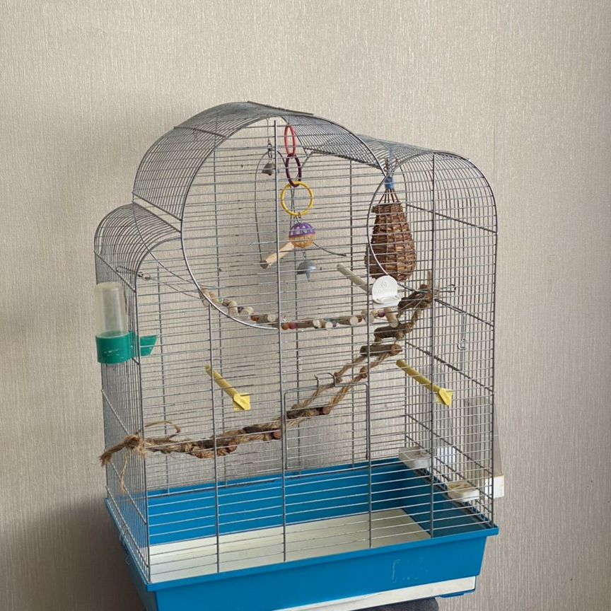 Клетка для попупаев полный комплект