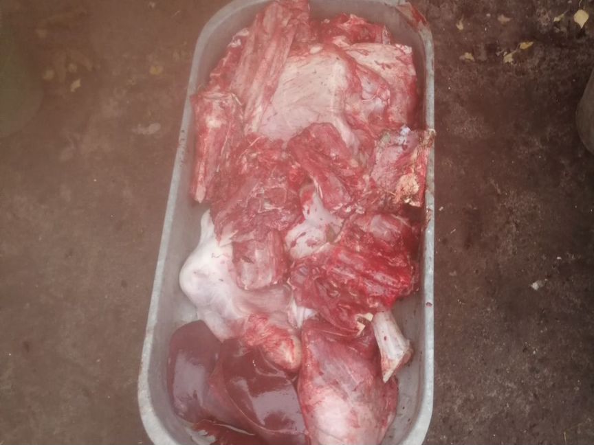 Мясо для собак молочная телятина