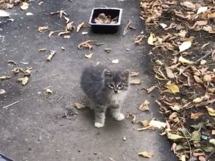 Крохотный малыш на улице