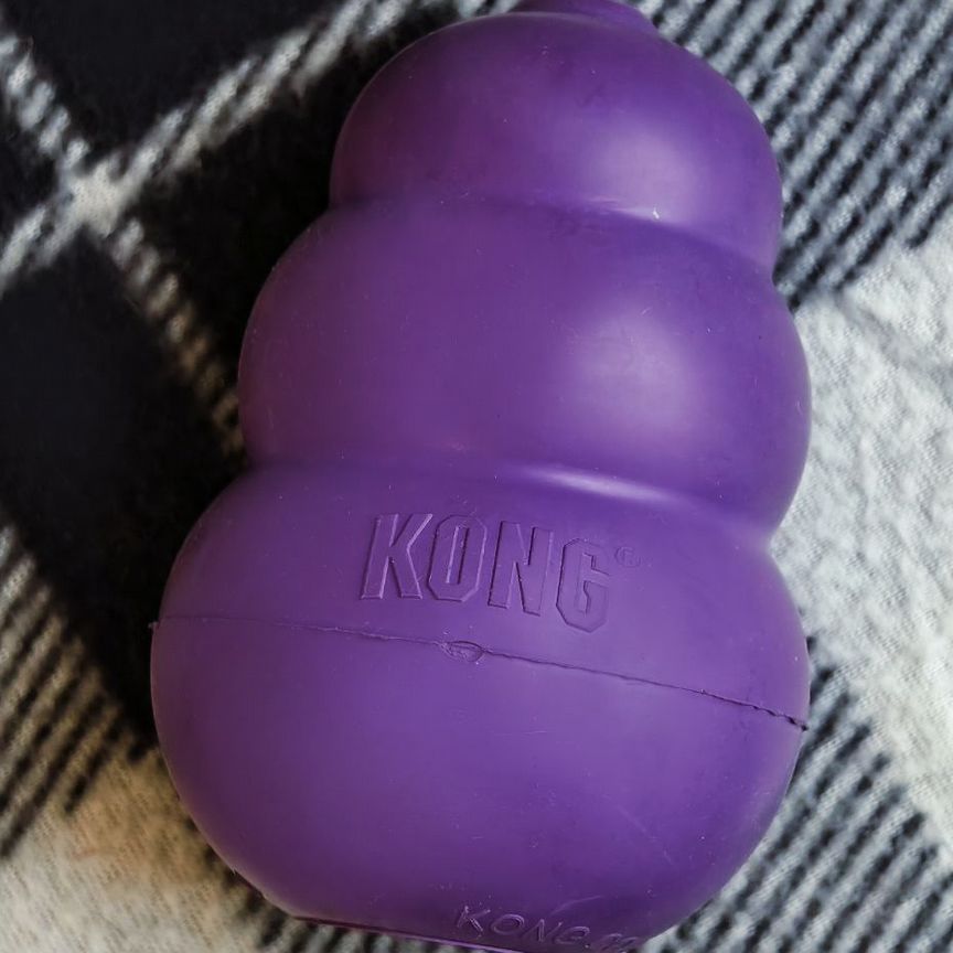Kong для собак